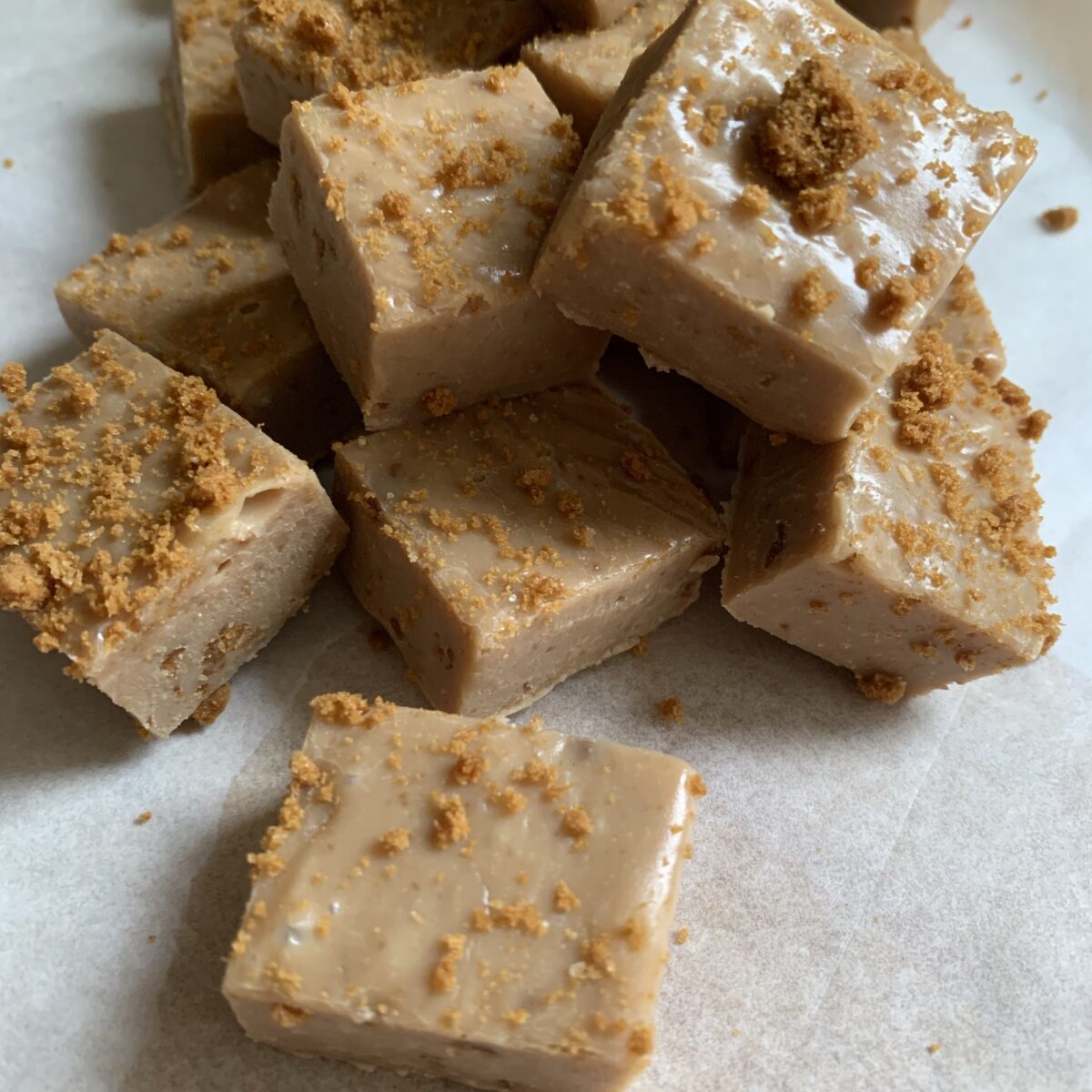 Easy to make Slow Cooker Biscoff Fudge recipe - The Family Cookbook