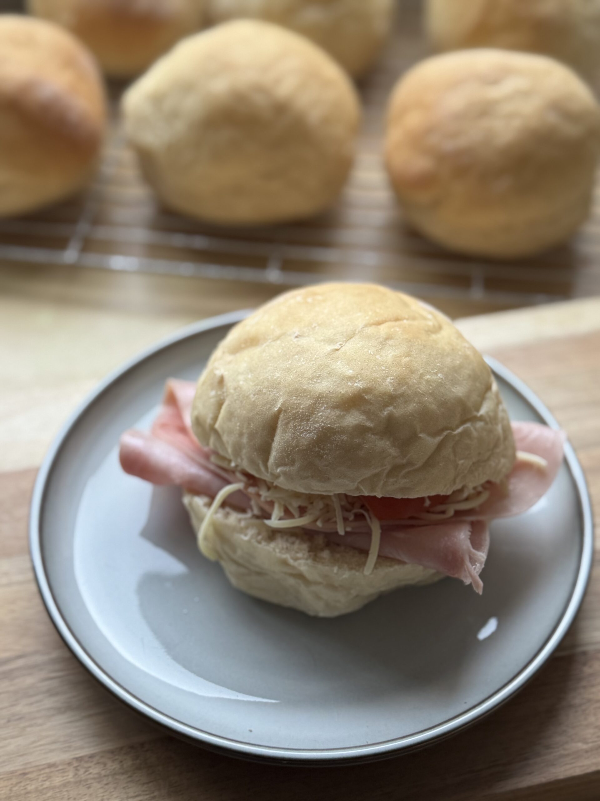 Easy Soft Bread Rolls Recipe - The Family Cookbook