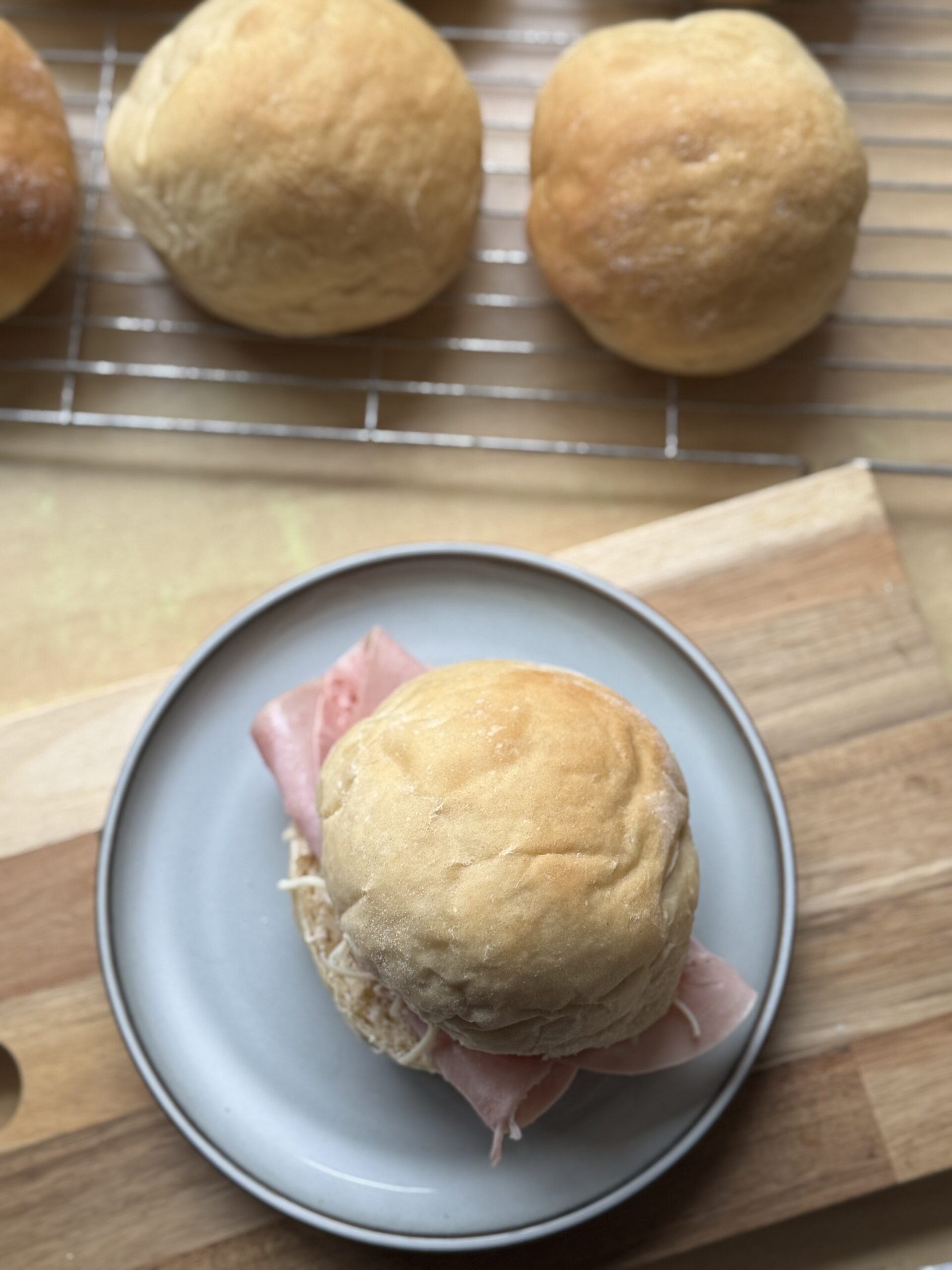 Easy Soft Bread Rolls Recipe - The Family Cookbook